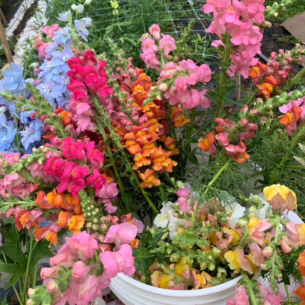 This Is My Story: Hope Blooms after a stroke - MS Christian Living